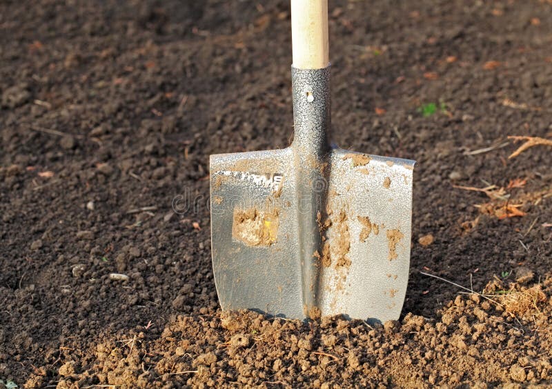 Shovel in the Ground stock image. Image of macro, detail - 24003063