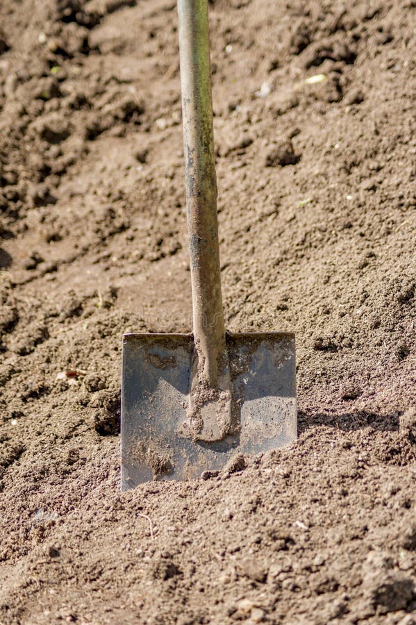 Shovel in the Ground, Close-up. Spading into Soil Stock Photo - Image ...