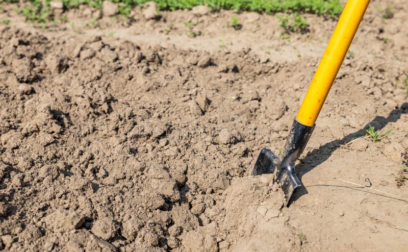 Shovel in the Ground. Agriculture and Soil Cultivation. Digging the ...