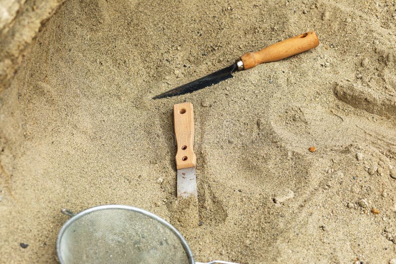 Skeleton and Archaeological Tools in the Sand.Digging for Fossils ...