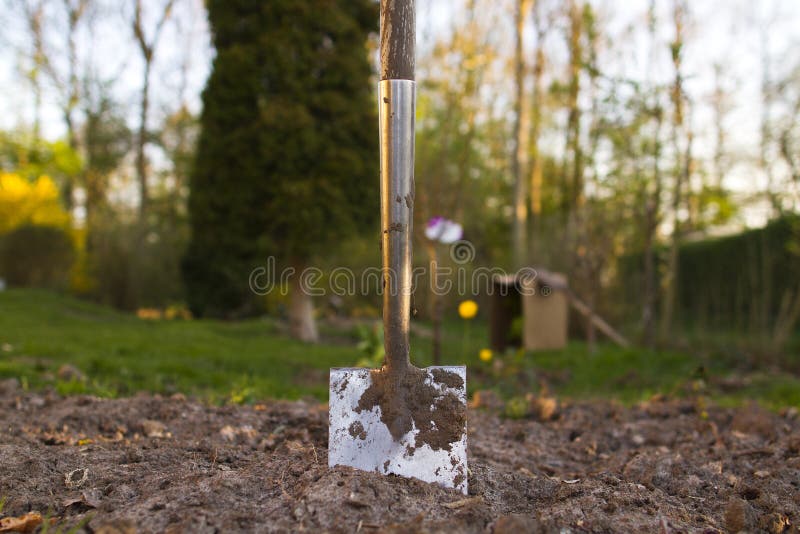 Shovel in soil stock photo. Image of agriculture, garden - 24686886