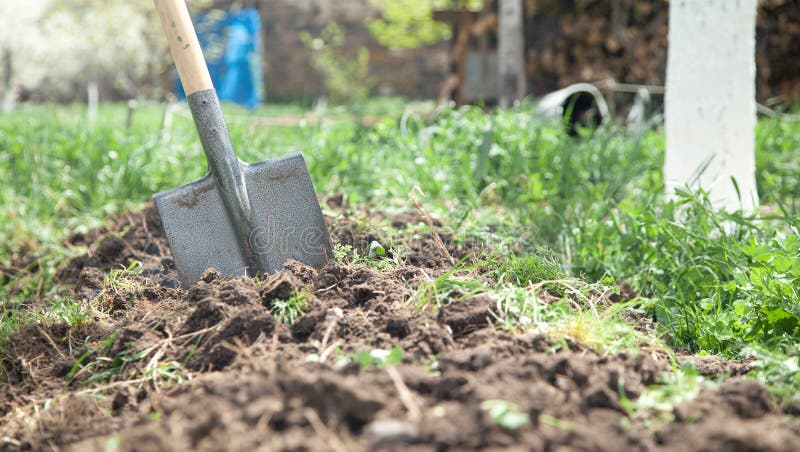 Shovel in Soil in the Garden Stock Image - Image of shovel, rural ...