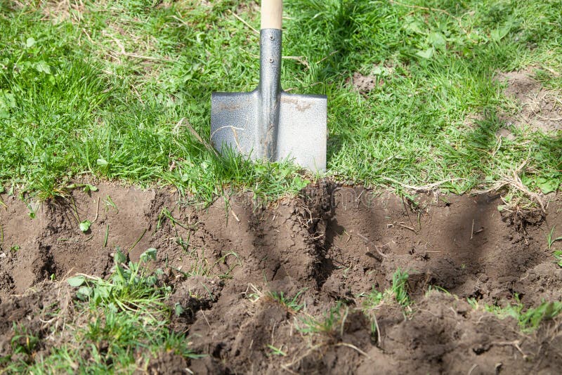 Shovel in Soil in the Garden Stock Image - Image of organic, gardening ...