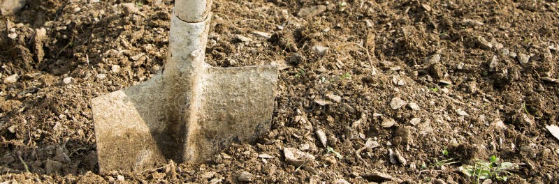 Shovel in the Soil, Gardening/agricultural Working Tool Stock Photo ...