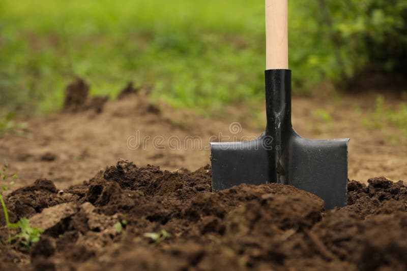 Shovel in soil stock image. Image of soil, equipment - 19085841