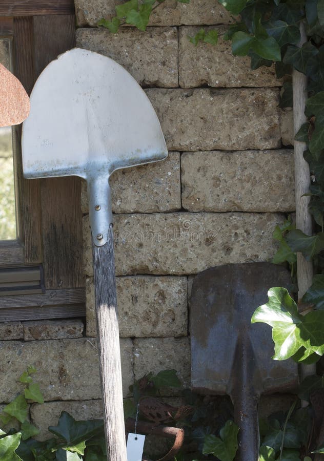 Shovel or Spade in Gardening Stock Photo - Image of market, living ...
