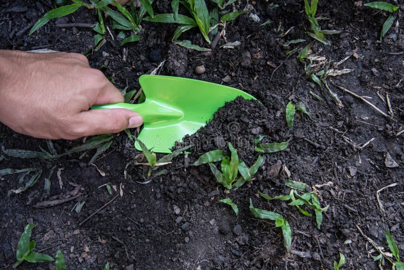 Shovel Spoon - Tool For Digging Soil Stock Image - Image of soil, dark ...