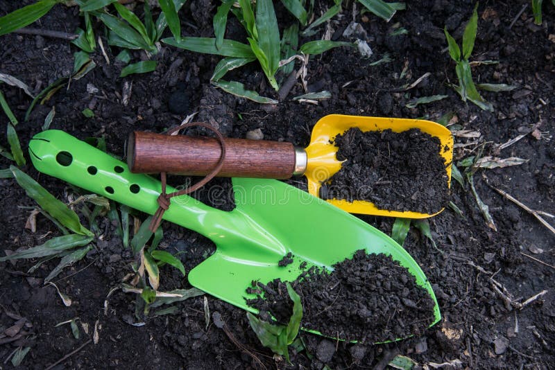 Shovel spoons stock image. Image of rake, natural, plant - 68246249