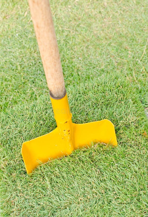 Shovel. stock image. Image of tool, land, gardening, dirt - 30608719