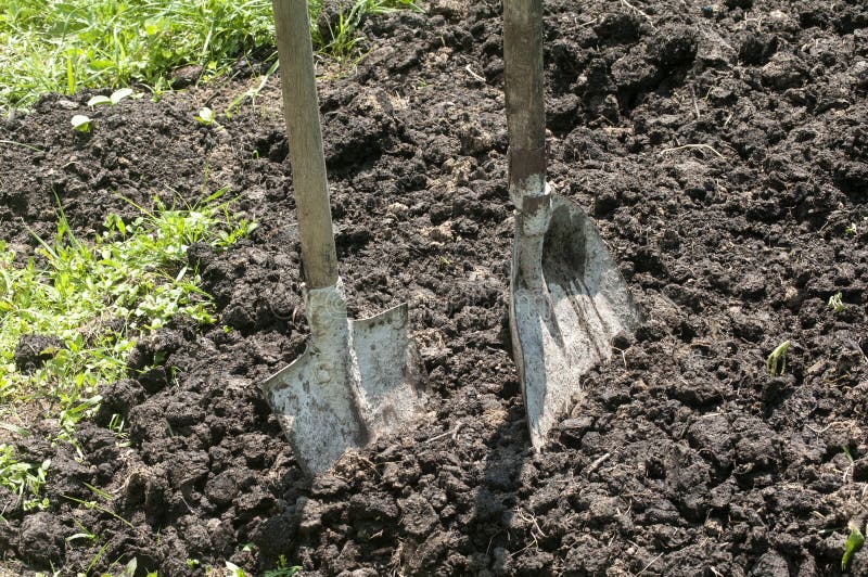 Shovel stuck in manure stock photo. Image of dirt, tool - 72570114