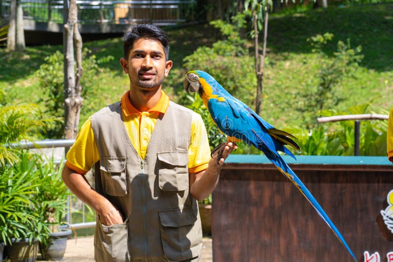A Show with Birds in a Bird Park. a Trainer with Parrots Editorial ...