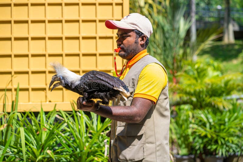 A Show with Birds in a Bird Park. a Trainer with Parrots Editorial ...