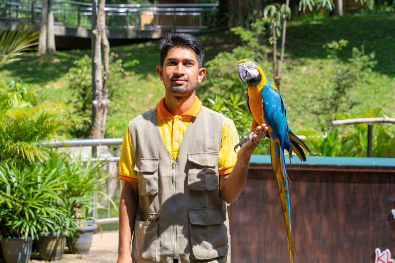 A Show with Birds in a Bird Park. a Trainer with Parrots Editorial ...
