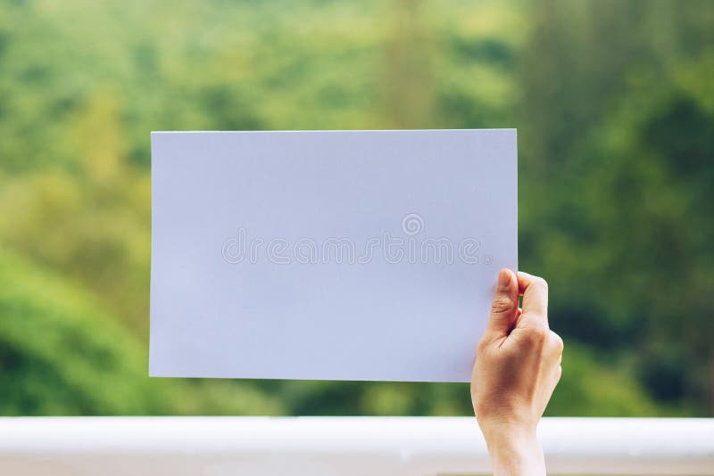 Show Cut Paper with the Logo of Pigeon Template of Peace Concept ...