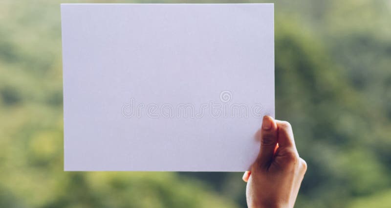 Show Cut Paper with the Logo of Pigeon Template of Peace Concept ...