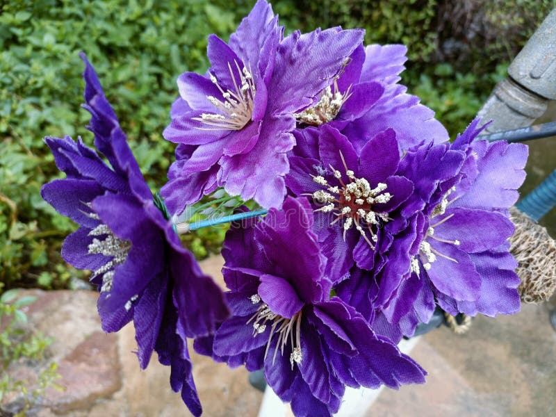 Digin Logo Stock Photos - Free & Royalty-Free Stock Photos from Dreamstime