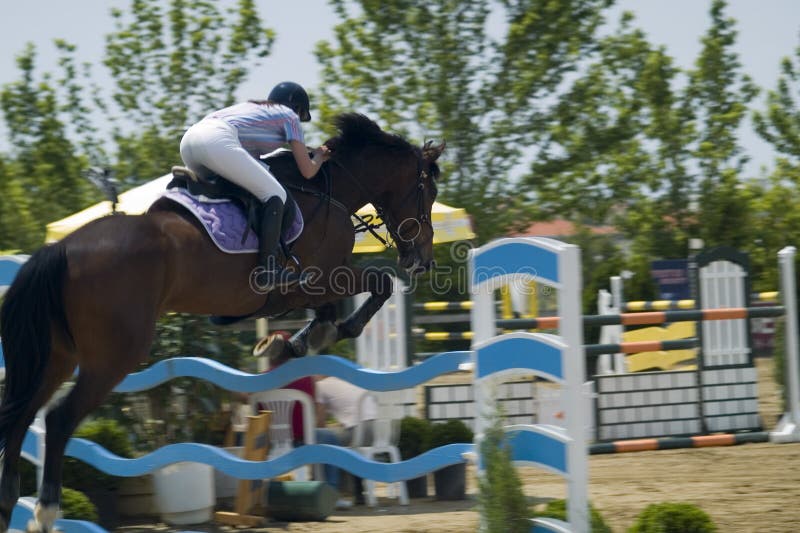 Showjumper and Horse Clear Jump Stock Photo - Image of muscle, jumping ...