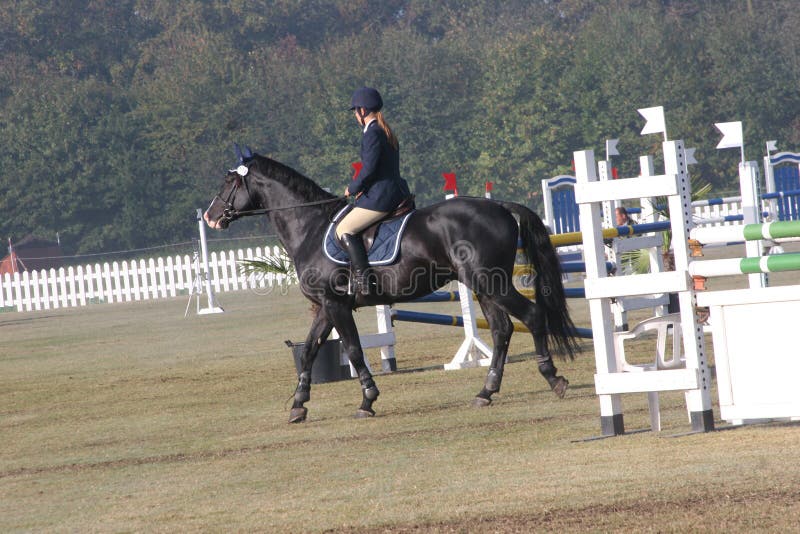 Show jumping editorial stock image. Image of international - 11569274