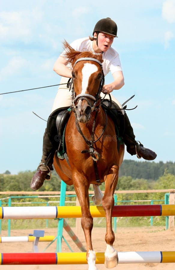 Show jumping stock photo. Image of gallop, jockey, jumping - 804510