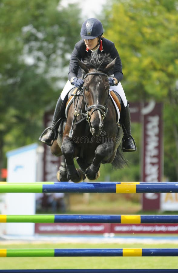 Show jumping editorial photography. Image of beautiful - 15083087