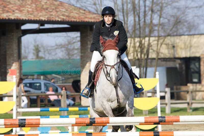 Show jumping editorial photo. Image of sport, animal - 20276681