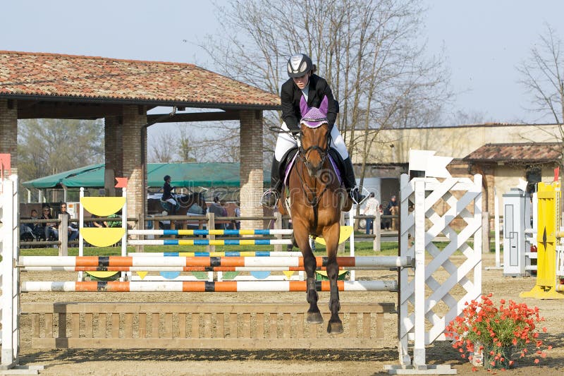 Show jumping editorial stock photo. Image of mammal, show - 20361538
