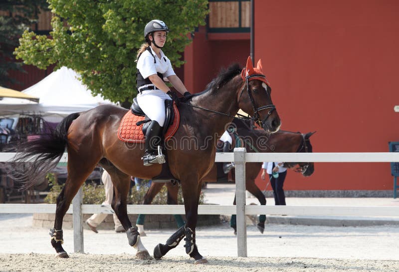 Show jumping editorial image. Image of discipline, jump - 21144170