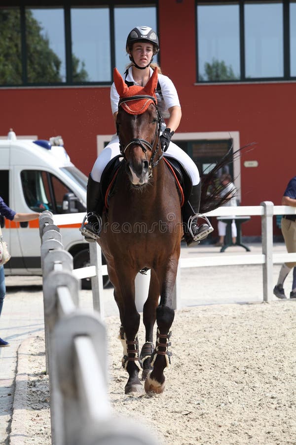 Show jumping editorial stock image. Image of horse, rider - 21218979