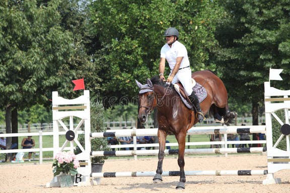 Show jumping editorial photo. Image of ride, animal, show - 21219356