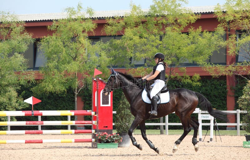 Show jumping editorial stock image. Image of competition - 21728304