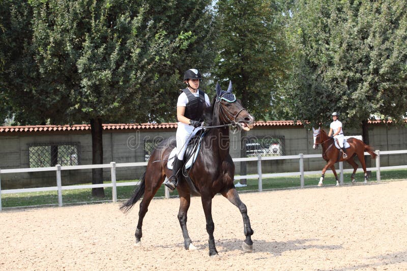 Show jumping editorial stock image. Image of horse, ride - 21797334