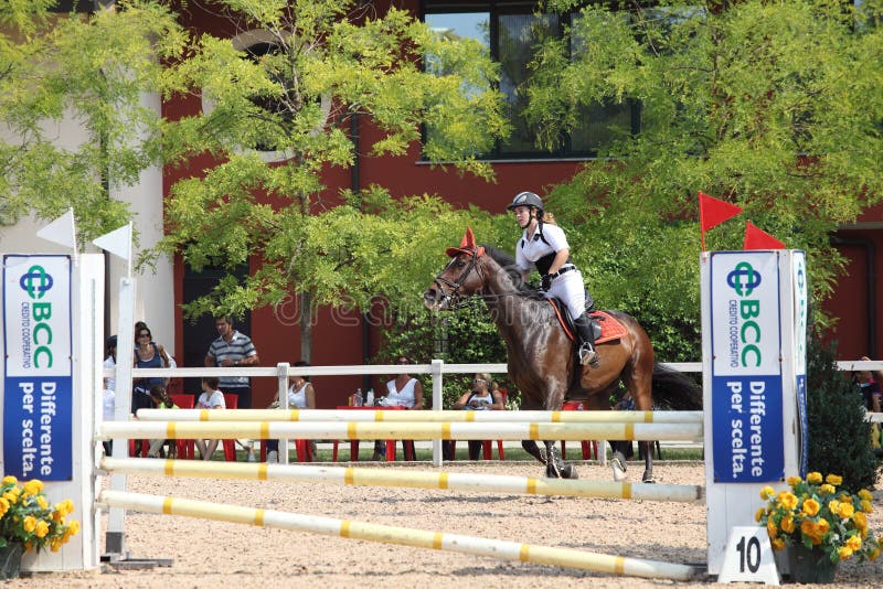 Show jumping editorial image. Image of animal, event - 24046240