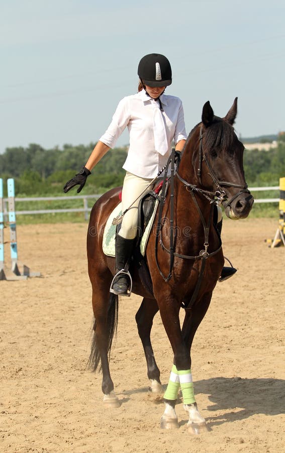 Show jumping editorial stock image. Image of club, field - 25545349