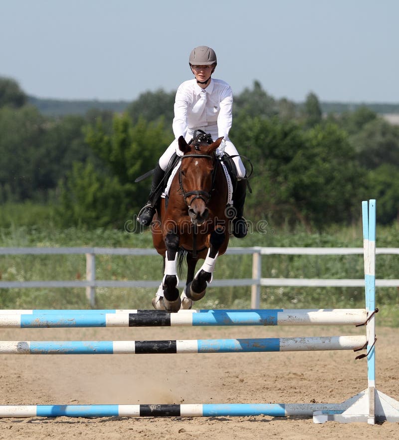 Show jumping editorial stock photo. Image of jumping - 25545353