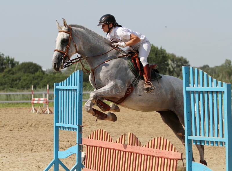 Show jumping editorial stock image. Image of equine, fence - 25545364