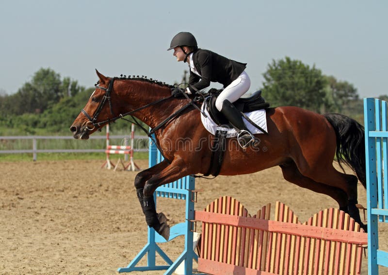 Show jumping editorial stock image. Image of equine, club - 25545369