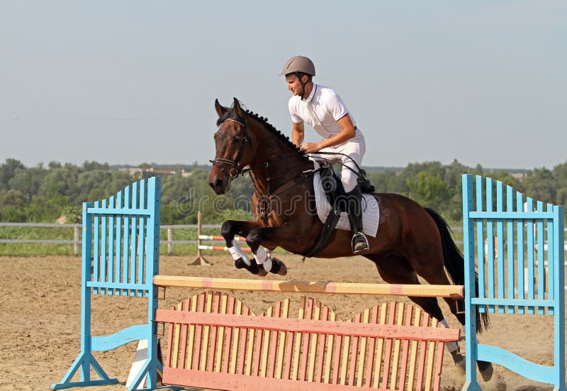 Show jumping editorial stock photo. Image of black, animal - 25545383