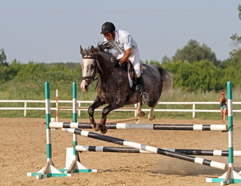 Show jumping editorial image. Image of equine, club, horseback - 25545390