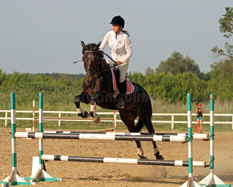 Show jumping editorial stock image. Image of competition - 25545399