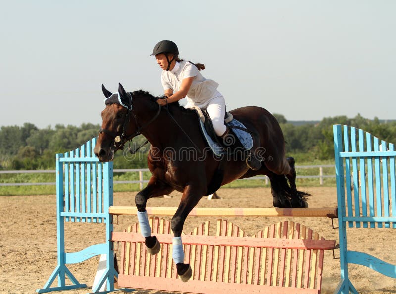 Show jumping editorial stock photo. Image of jumping - 25545353