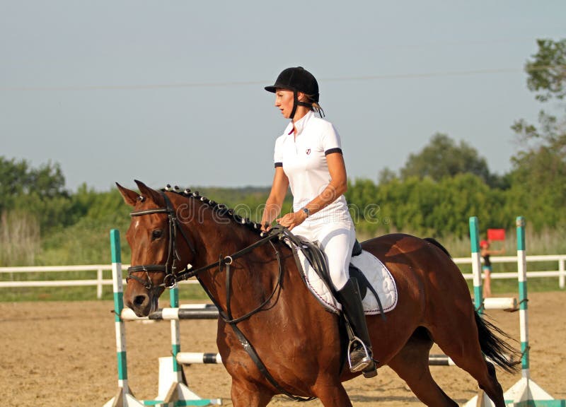 Show jumping editorial photography. Image of horseman - 25545407