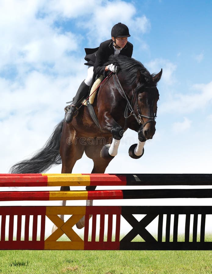 Show jumping stock image. Image of showjumping, sportsman - 3810495