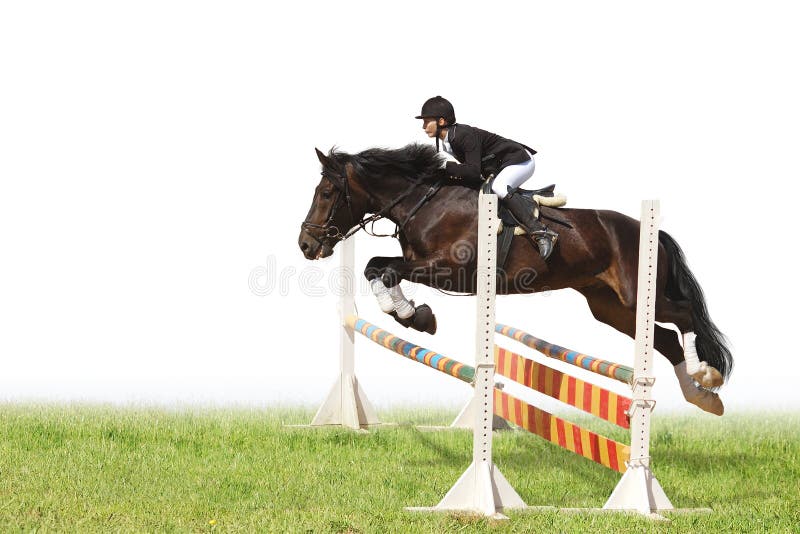 Show jumping stock image. Image of show, competition, sports - 3810521
