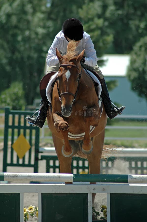 Show jumping stock image. Image of show, equine, horseback - 4273293