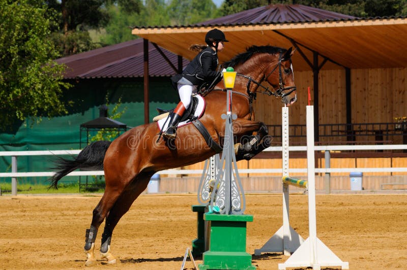 Show jumping stock photo. Image of gallop, jockey, jumping - 804510