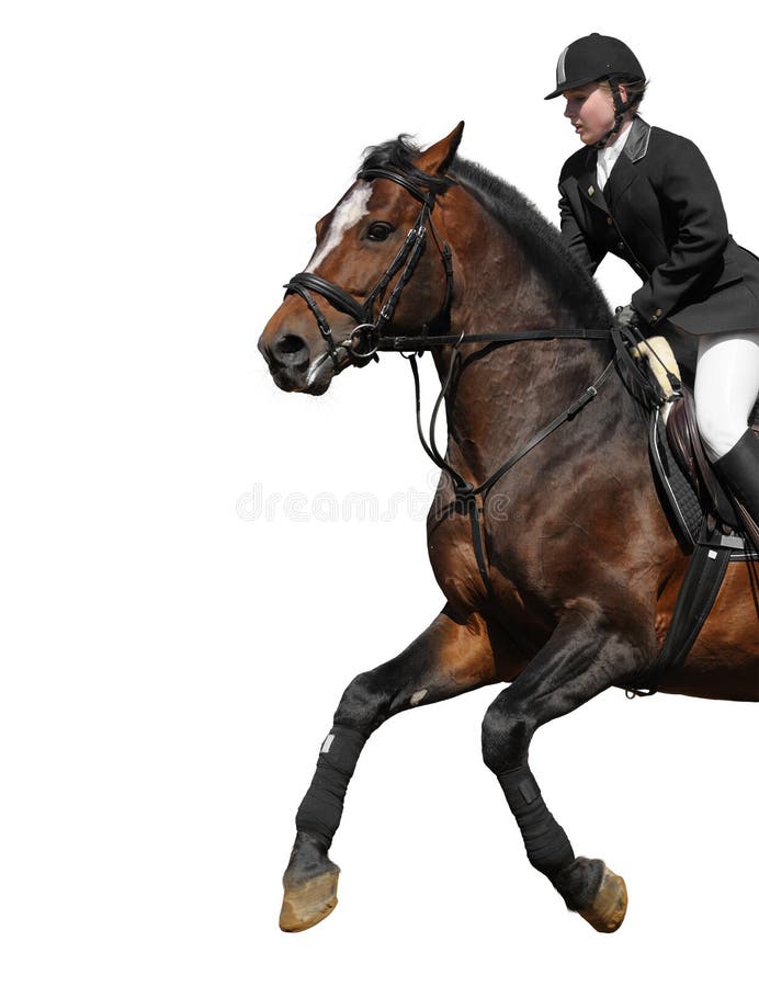 Cow stock photo. Image of life, cloud, looking, hoof, head - 5725690