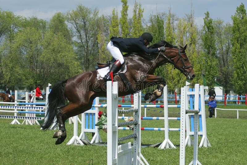 Show jumping stock image. Image of kicker, equestrian, sport - 804509