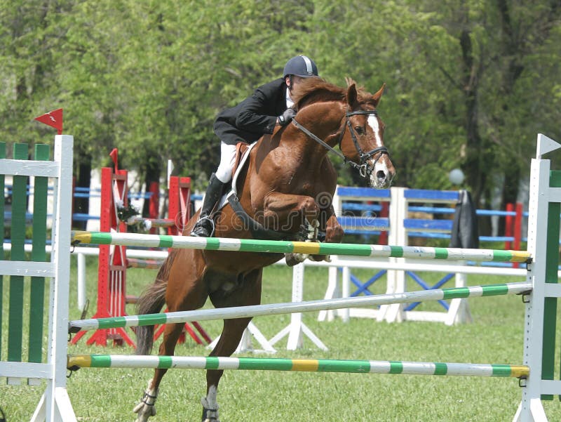 Show jumping stock image. Image of kicker, equestrian, sport - 804509