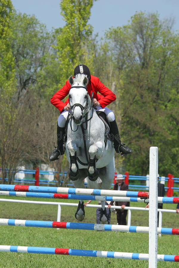 Show jumping stock photo. Image of obstacle, leap, barrier - 804512