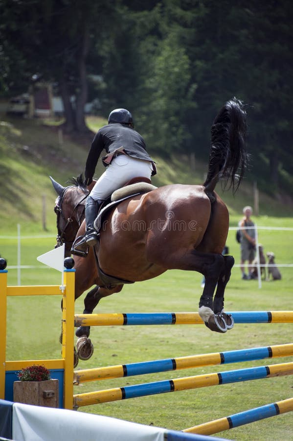 Show jumping horse and rider, Equestrian horse and rider jump over a ...
